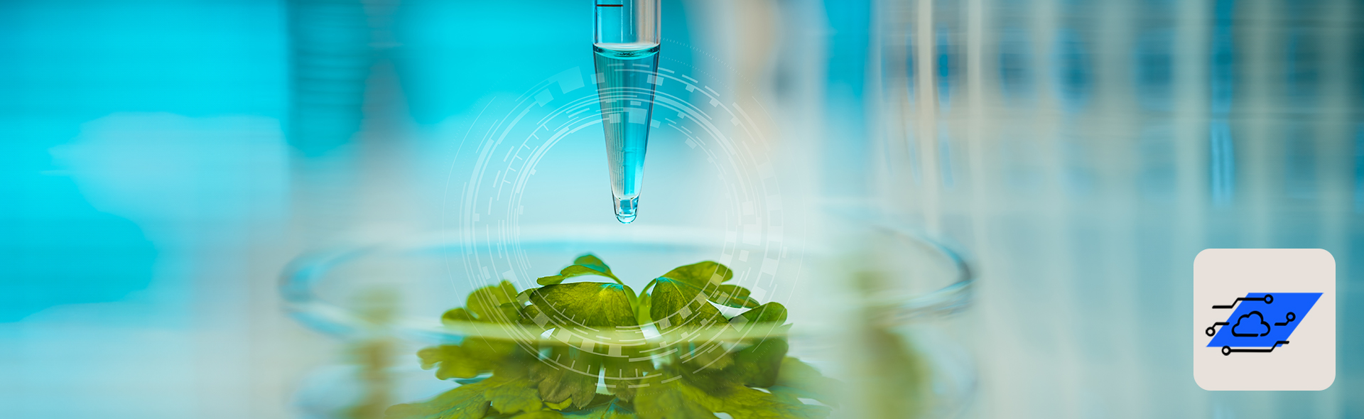 How digital technology is shaping what we eat - SIG Blog - Unveiling ...