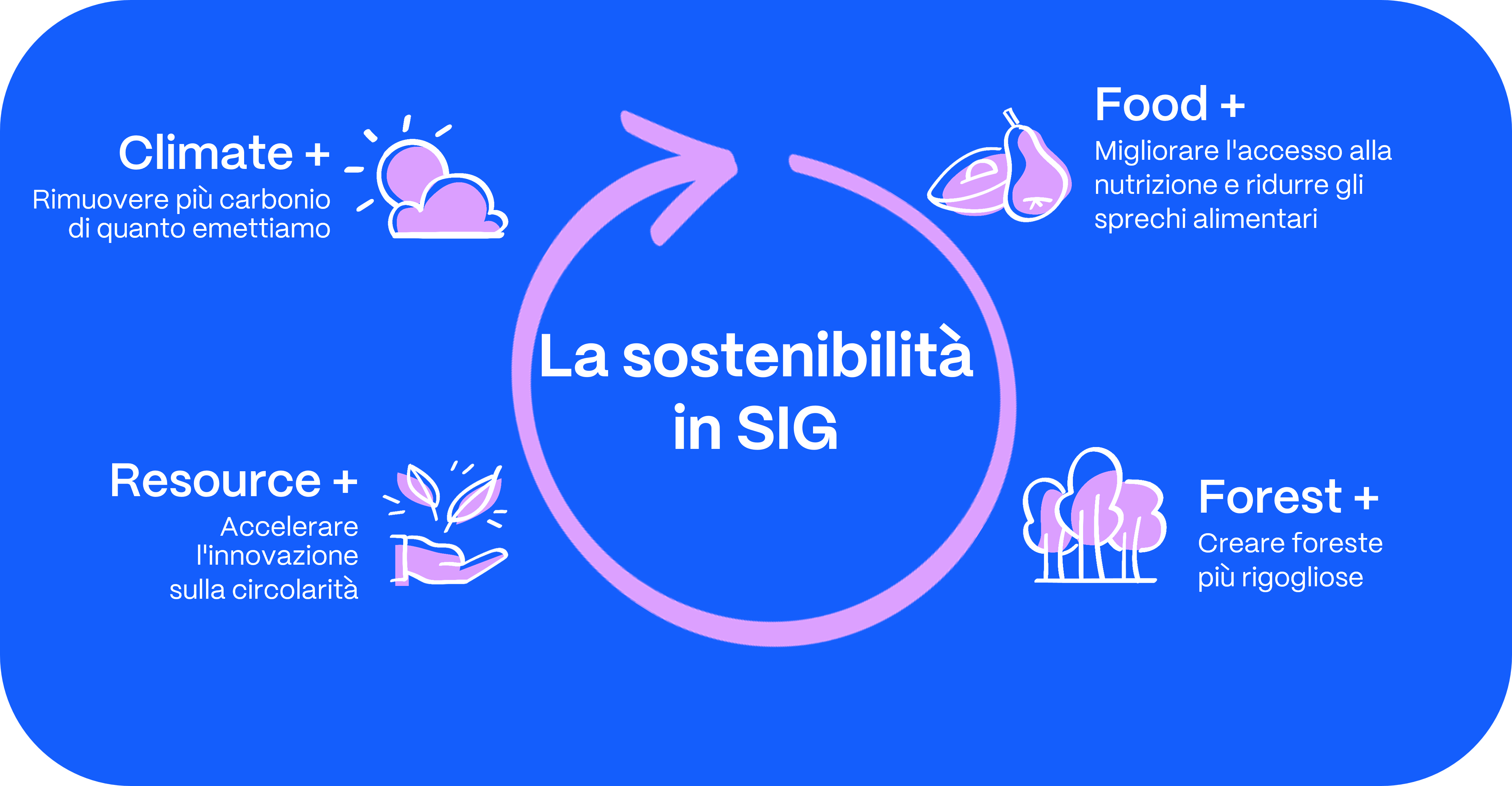 Massel innovates with liquid stock range in SIG carton packs with ...