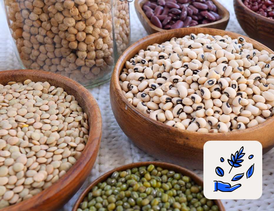 Trending ingredients in plant-based - SIG Blog - Unveiling Food ...