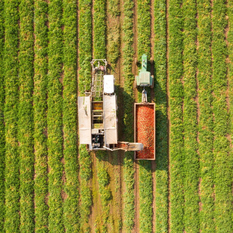 SIG SteriSeal Cap 5900 - SIG – for better